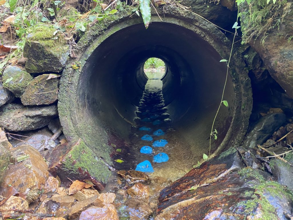 Aménagement de buse pour restaurer la continuité écologique - AAPPMA de ...